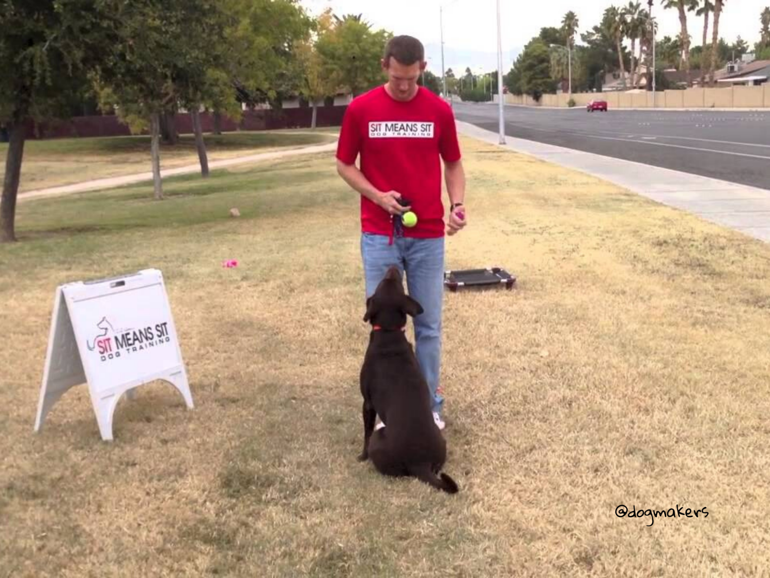 All you need to know about Sit Means Sit Dog Training Chicago